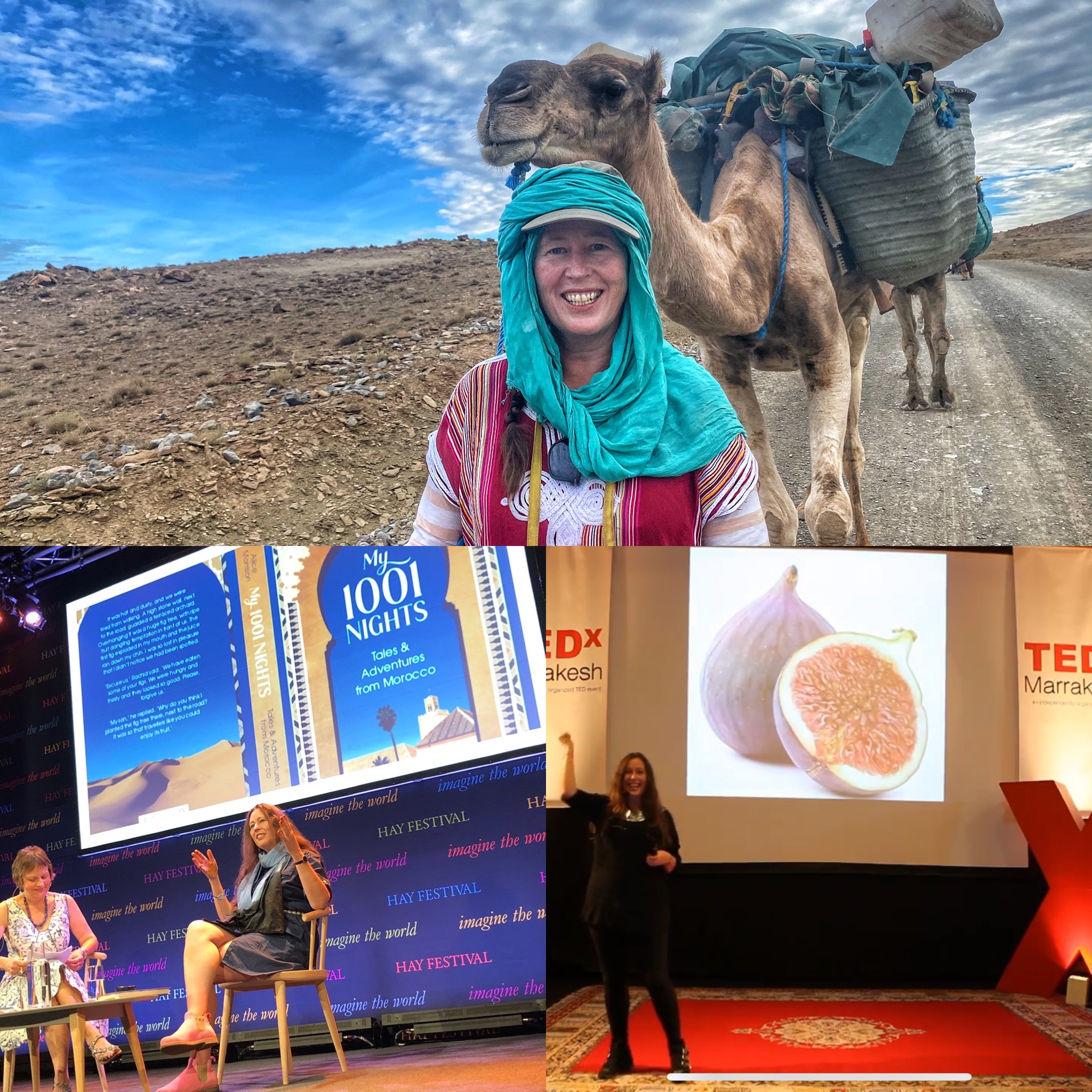 Speaking - Alice Morrison